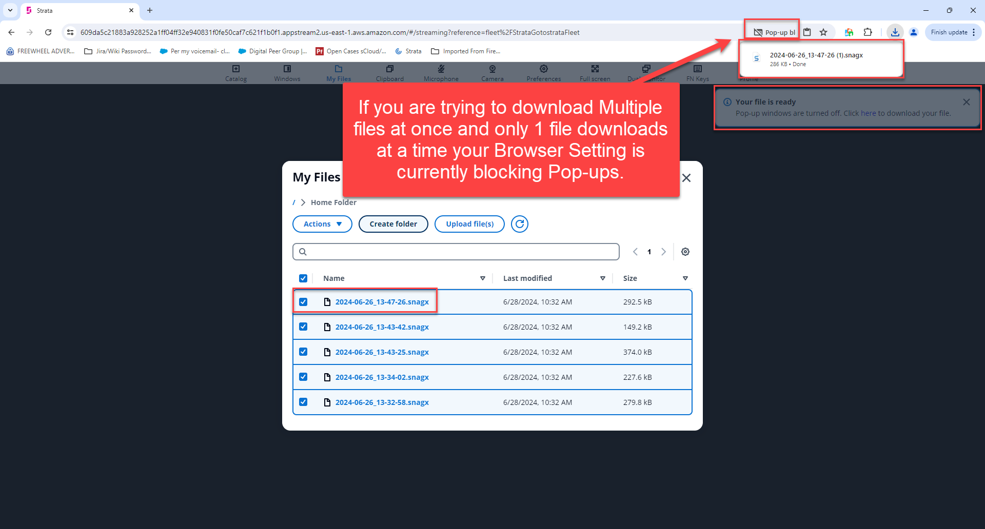 AppStream - Downloading Multiple Files in Chrome, Firefox, or Edge – FreeWheel